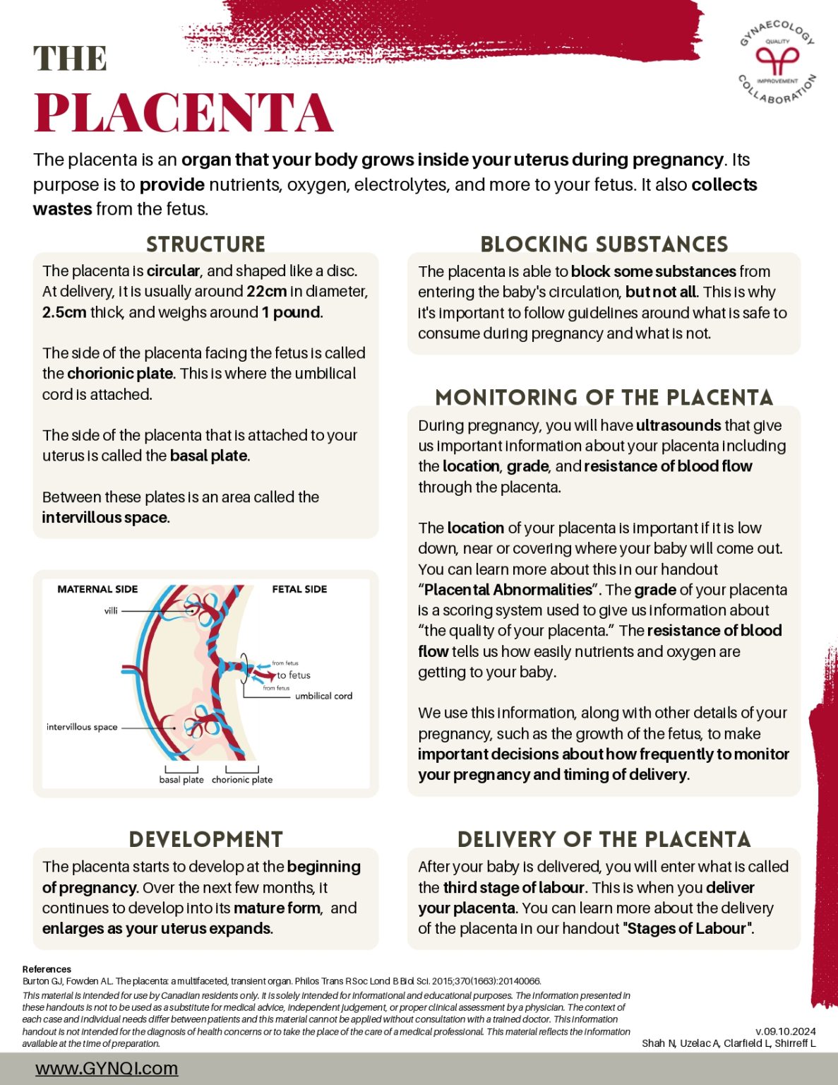 The Placenta